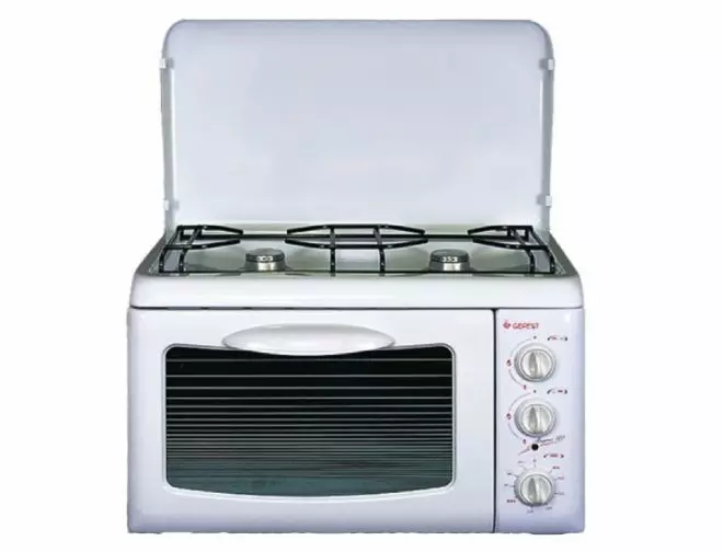 Mini-oven - bestaande soorten apparatuur, tips over het kiezen van de beste modellen waardering 8702_11