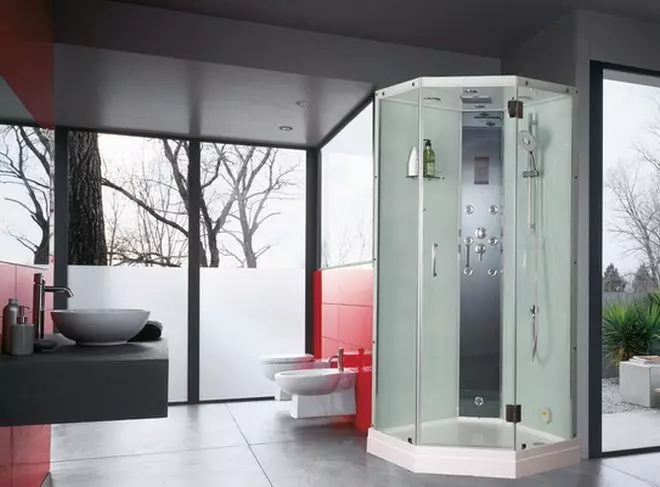 Shower Cab - Maitiro ekusarudza yakaderera uye yakakwira pallet, ine hydromassage uye sauna 8752_5