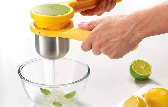 लिंबूवर्गीय juicer - कसे निवडावे, सर्वोत्तम, नियम वापरा 8776_3