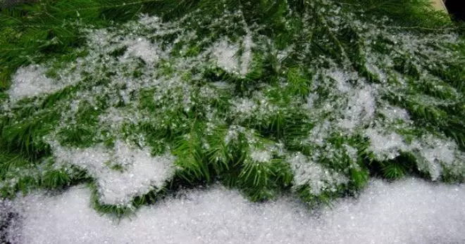 Neve Artificial - O que é, como parece, do que eles fazem, pelo que você precisa, quanto é preciso?