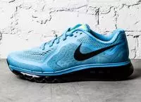 Sabatilles d'esport Nike 2014 9