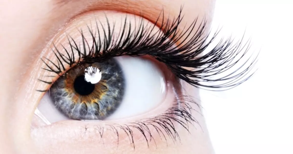 eyelashes üçün REPIA neft - tətbiqi və ən yaxşı tarifler sirləri