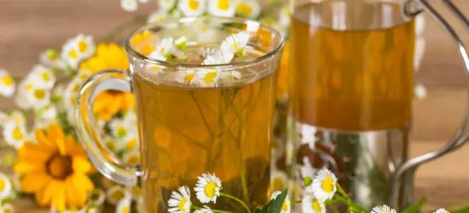 Chamomile - Терапевтикалык касиеттери жана карама-каршылыктар. Chamomile Marmacy - Медициналык касиеттер жана колдонмо 9814_5