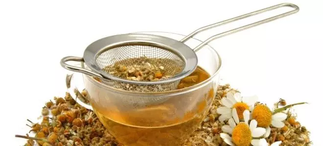 Chamomile - ကုထုံးဂုဏ်သတ္တိများနှင့် contraindications ။ Chamomile ဆေးဆိုင် - ဆေးဘက်ဆိုင်ရာဂုဏ်သတ္တိများနှင့်လျှောက်လွှာ 9814_9