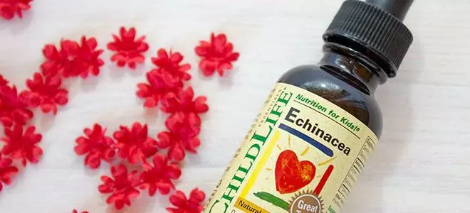 Tincture Echinacea مصوبت کے لئے جامنی، سردی سے، HPV کے ساتھ - کس طرح لے جانے کے لئے؟ 9849_2