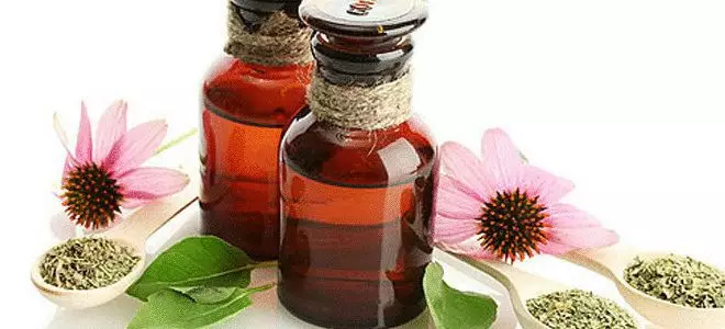 Tincture Echinacea buluple oo loogu talagalay xasaanadda, qabowga, oo leh HPV - sida loo qaado? 9849_4